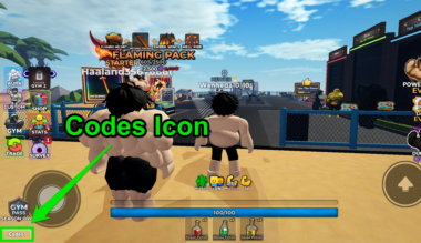 Gym League Codes December 2025